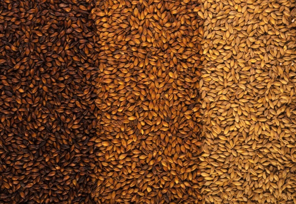 How the Malting Process Impacts Beer • The Growler Guys