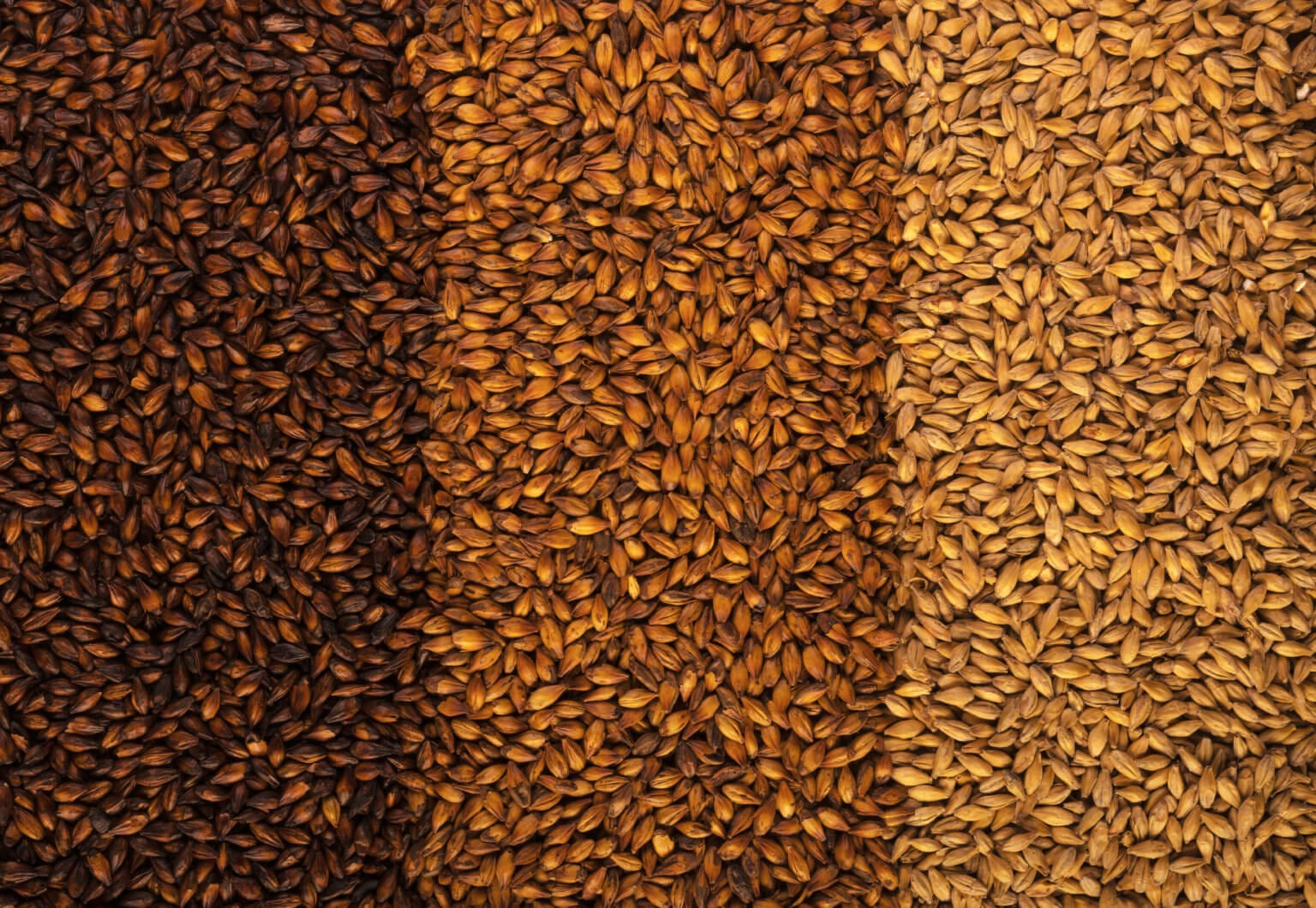 How the Malting Process Impacts Beer • The Growler Guys