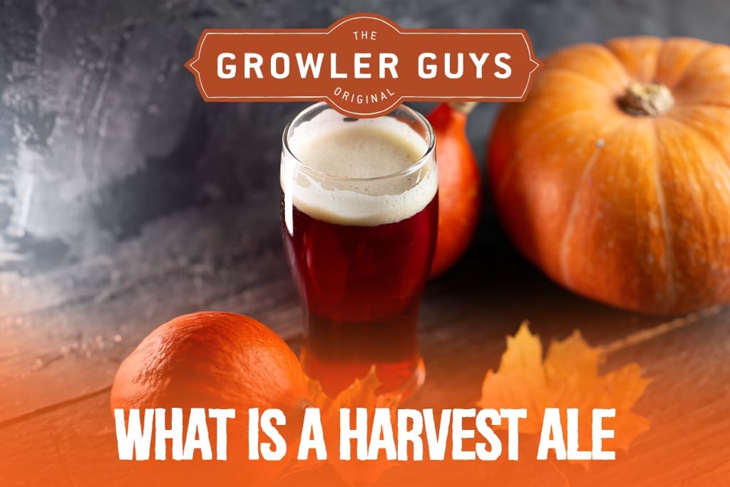 What Is A Harvest Ale? • The Growler Guys